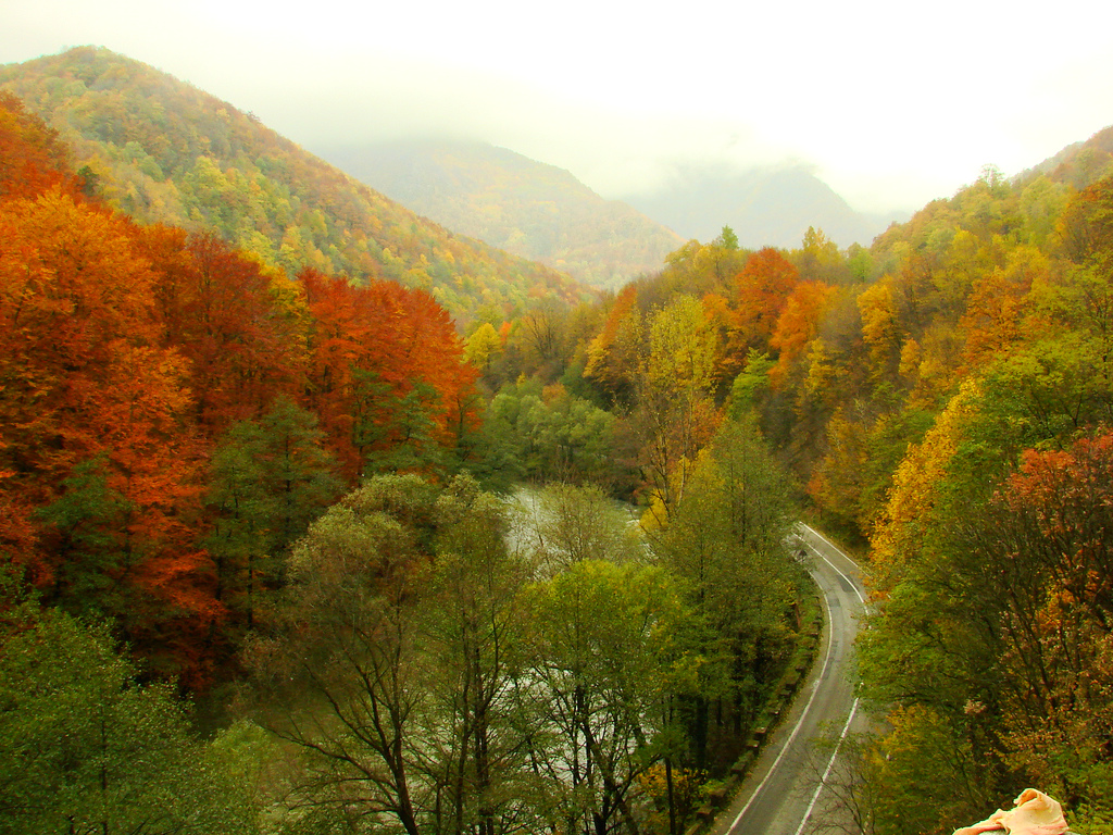 Parcul National Defileul Jiului | Centrul de pelerinaj "Sf. Parascheva ...