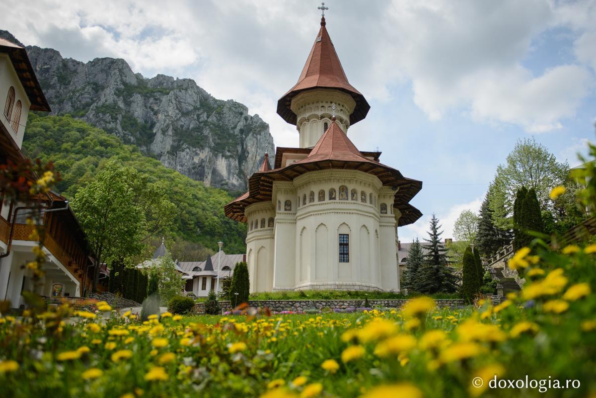 Pelerinaj la mormântul Pr. Arsenia Boca, de la Mănăstirea Prislop ...